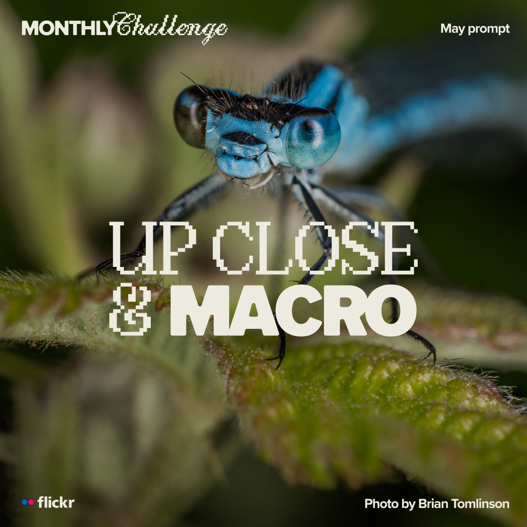 ICYMI: Flickr News and Updates April 2025 – BALI YACHTING